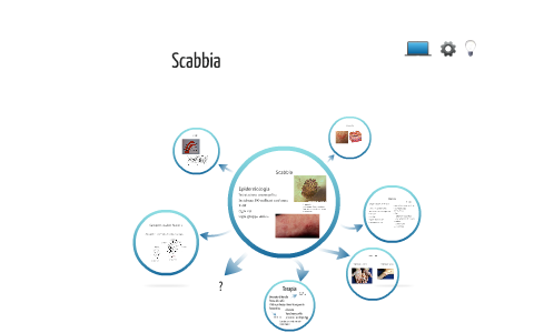 Scabbia - Campus Biomedico Di Roma - Erasmus - Dermatologia by adri ...