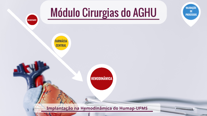 Validação dos Processos de Trabalho para Implantação do Módulo ...