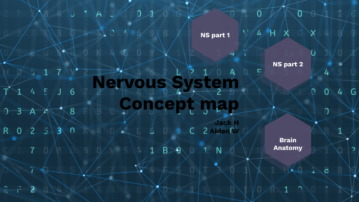 Nervous System Concept map by John Houlihan on Prezi