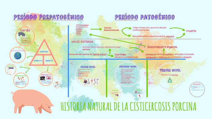 PERIODO PREPATOGENICO by Daniela Chávez on Prezi