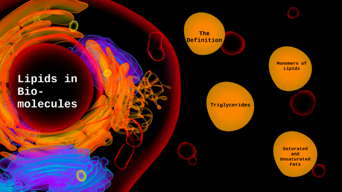 Lipids in Biomolecules by Nariah Buycks on Prezi