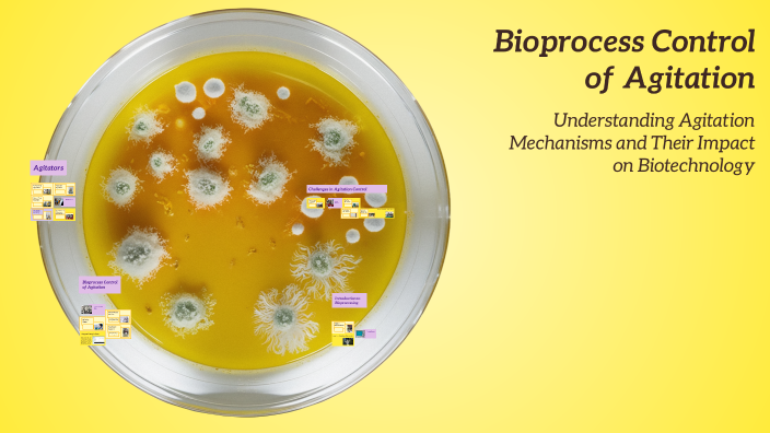 Bioprocess Control of Agitation by Ayaan Akhtar on Prezi