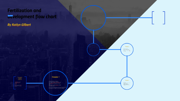 Fertilization and development flow chart by Katlyn Gilbert on Prezi