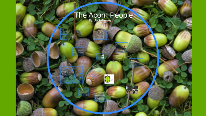 The Acorn People by Jack Causey on Prezi