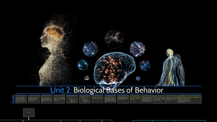 Unit 2: Biological Bases of Behavior (2021-22) by Jordan Moree on Prezi