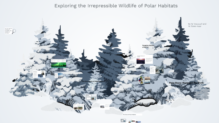 The Frozen Kingdom: Life in Extreme Climates by Yusuf Rashid on Prezi
