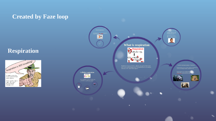 Respiration by GRIZZLY BEAR on Prezi