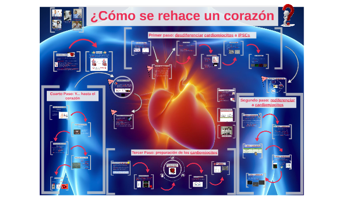 ¿Cómo rehacer un corazón infartado? by on Prezi