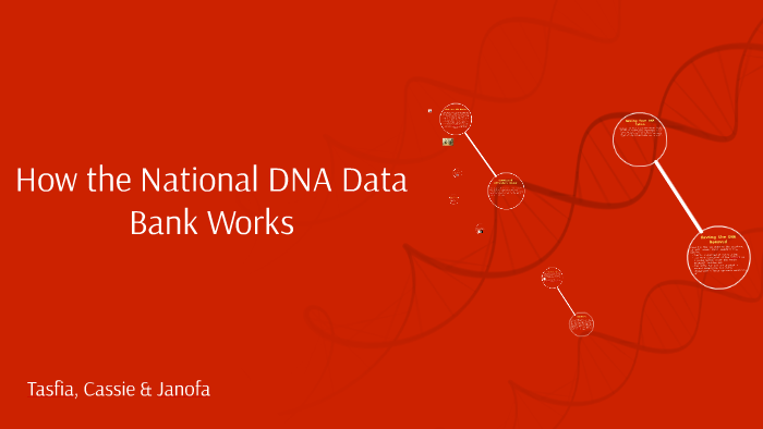 How the National DNA Data Bank Works by Tasfia Ahmed on Prezi