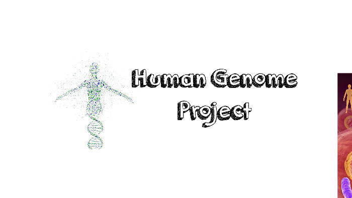 Human Genome Project by simon lumbus on Prezi