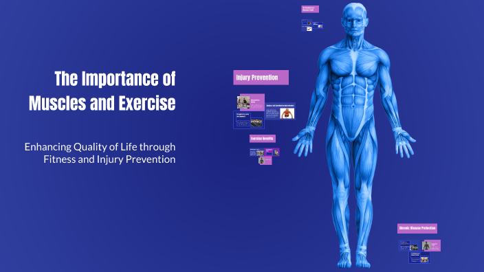 The Importance of Muscles and Exercise by Domany Fit on Prezi