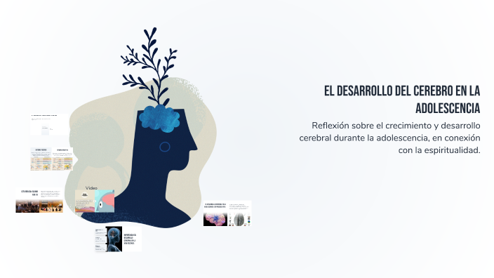 El desarrollo del cerebro en la adolescencia by Amy Cadena on Prezi