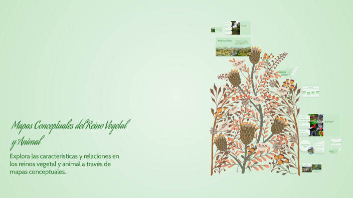 Mapas Conceptuales del Reino Vegetal y Animal by Juan Sebastian Perez ...