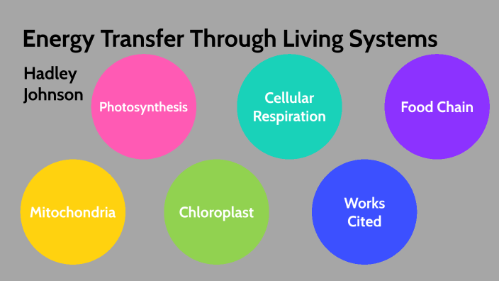 Energy Transfer Through Living Systems by hadley johnson on Prezi