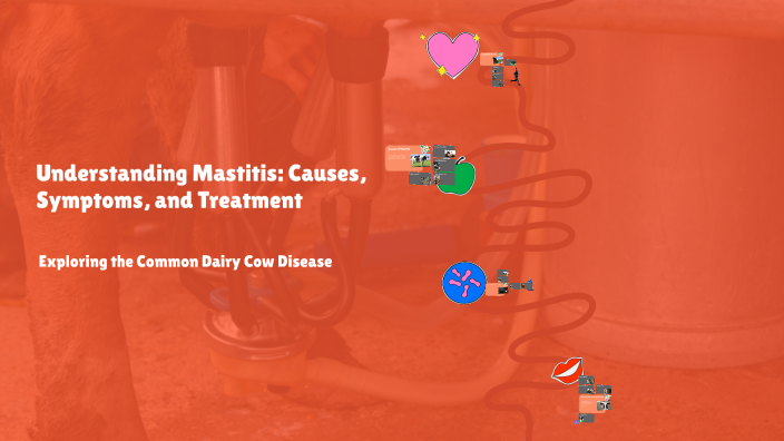 Understanding Mastitis: Causes, Symptoms, and Treatment by Md ...