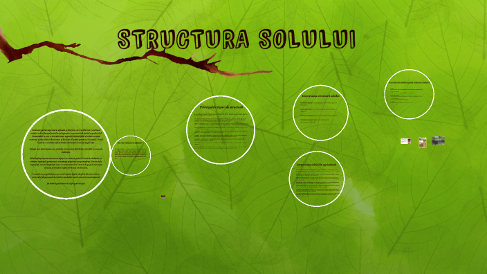 STRUCTURA SOLULUI by Szabo Bianca on Prezi