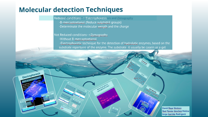 Molecular Detection Techniques By Jorge Garrido On Prezi