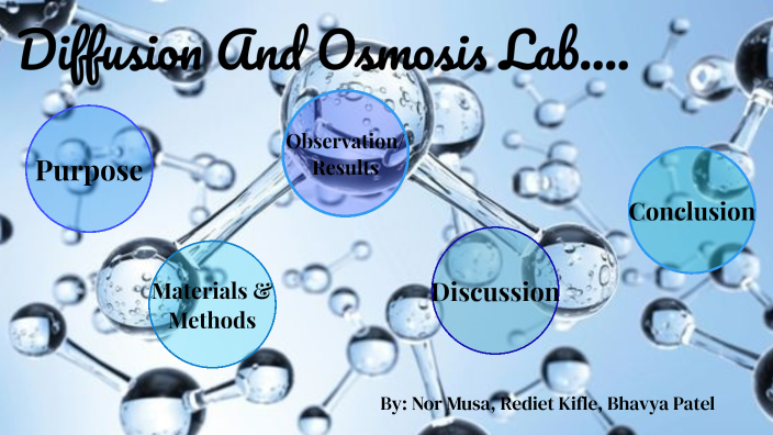 Diffusion and Osmosis Lab by Nor Musa on Prezi