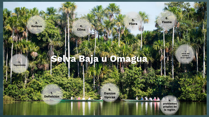 Selva Baja by Luciana Margarita Florez Hurtado on Prezi