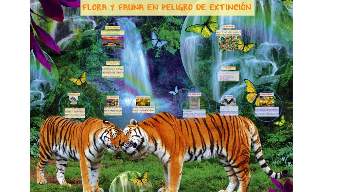 FLORA Y FAUNA EN PELIGRO DE EXTINCIÓN by stiven guerrero rivas on Prezi