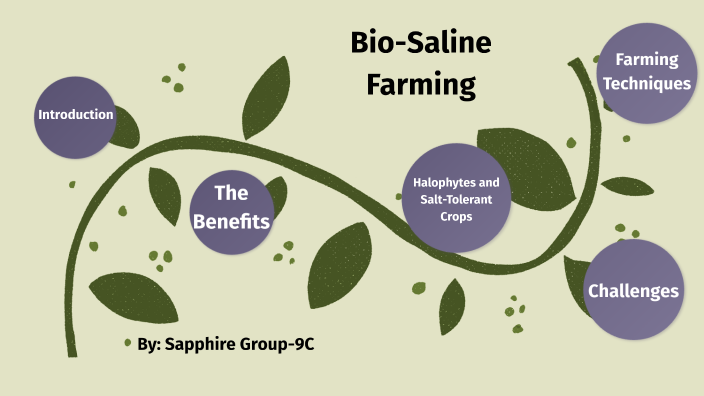 Bio Saline Farming by Hammad Azhivelikkakath on Prezi