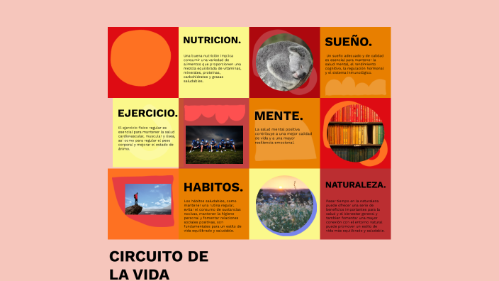 VIDA SALUDABLE Y EQUILIBRADA by luz baez on Prezi