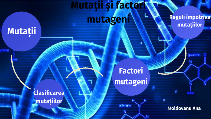. by Moldovanu Ana on Prezi