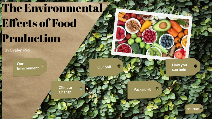 The environmental effects of food production (2) by Evelyn Pini on Prezi