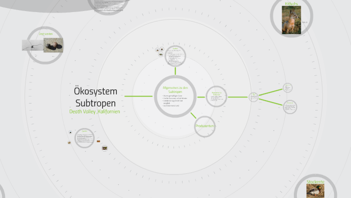 Ökosystem Subtropen by LeaV Thurnher on Prezi