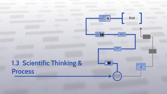 1.3 (AD) Scientific Thinking & Process by Melissa Panzer
