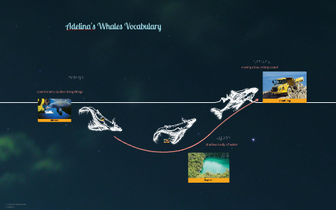 Adelina's Whales Vocabulary by Mrs Emerick on Prezi