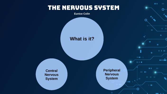 Nervous System Mapping by Eunice Colin on Prezi