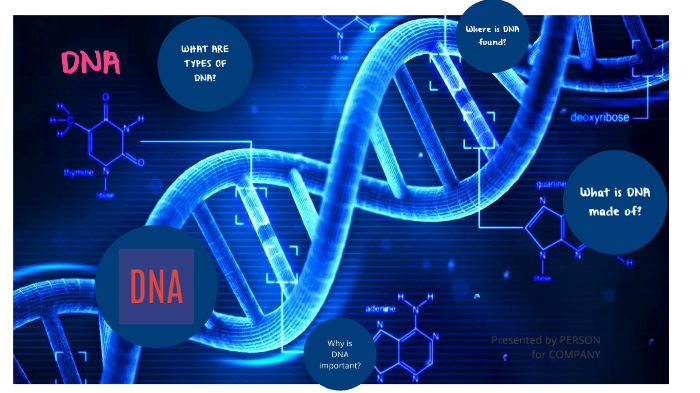 DNA by Belinda Ortiz on Prezi