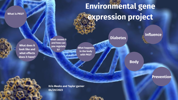Environmental Gene Expression by Christina Meeks on Prezi