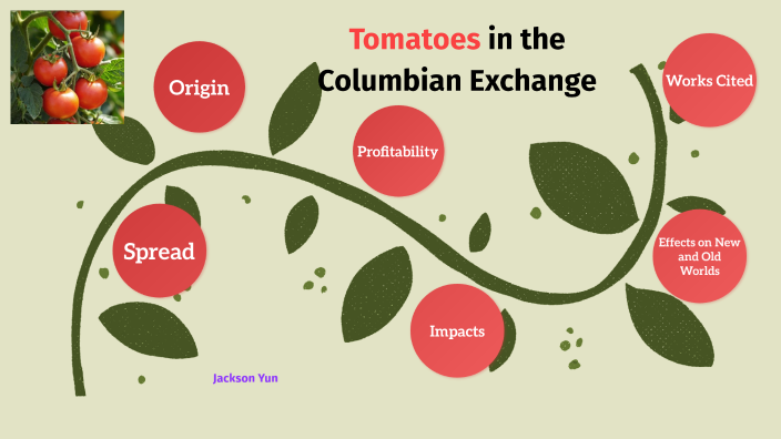 Tomatoes in the Columbian Exchange by Jackson Yun on Prezi