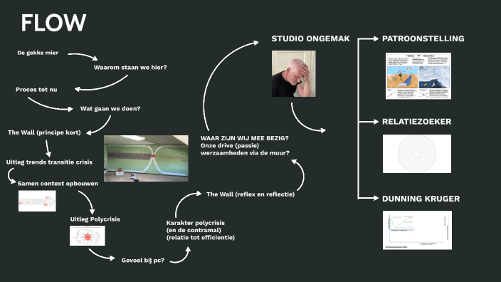 PCA flow by John de Ruiter on Prezi