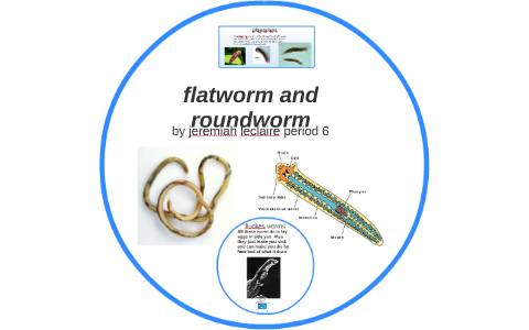 flatworm and roundworm by jeremiah leclaire on Prezi