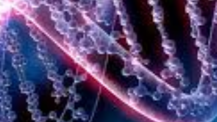 Genetics: Unraveling the Code of Life by Baran Araz on Prezi