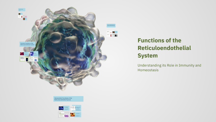 Functions of the Reticuloendothelial System by Prachi Kore on Prezi