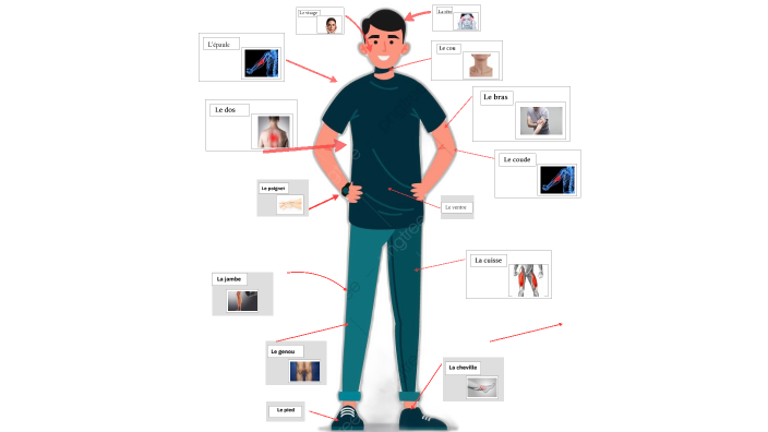 Vocabulaire: El Cuerpo y la Salud by Perla Flores on Prezi