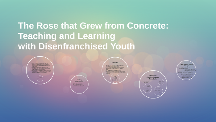 The Rose that Grew from Concrete by on Prezi