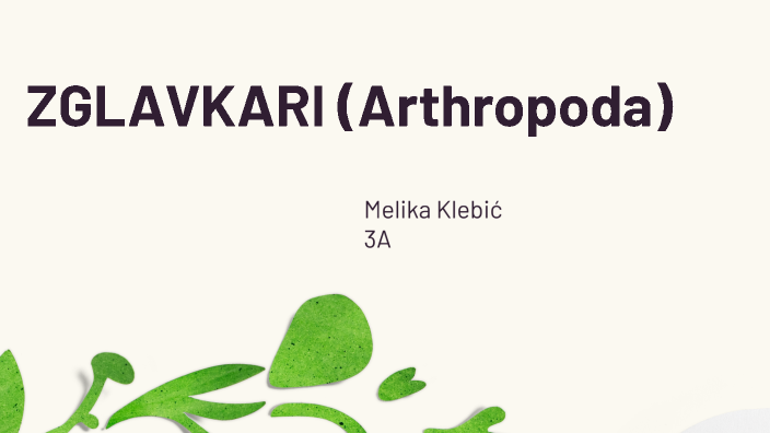 ZGLAVKARI (Arthropoda) by Vedad Klebic on Prezi