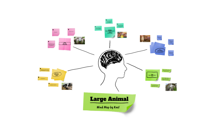 Large Animal Mind Map by on Prezi