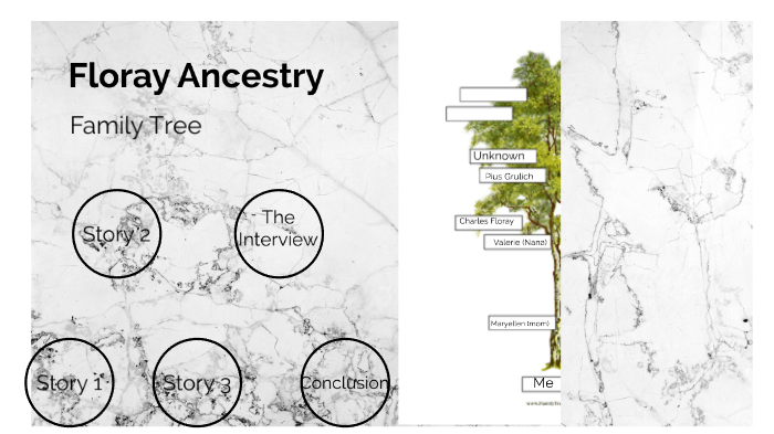 Davis Family Tree by Taylor Dillon on Prezi
