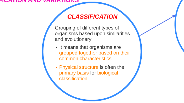 CLASSIFICATION AND VARIATIONS by cis year 9 on Prezi