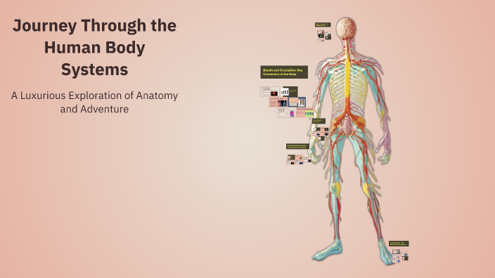 Journey Through the Human Body Systems by Shnyyia Smith on Prezi