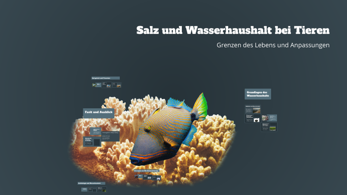 Salz und Wasserhaushalt bei Tieren by Robin hackl on Prezi