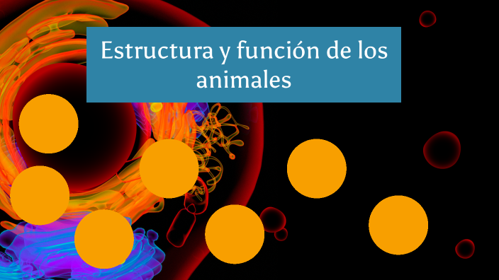 estructura y funcion de los animales by isabela Góngora Medina on Prezi