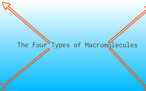 macromolecule project by hobby mills on Prezi