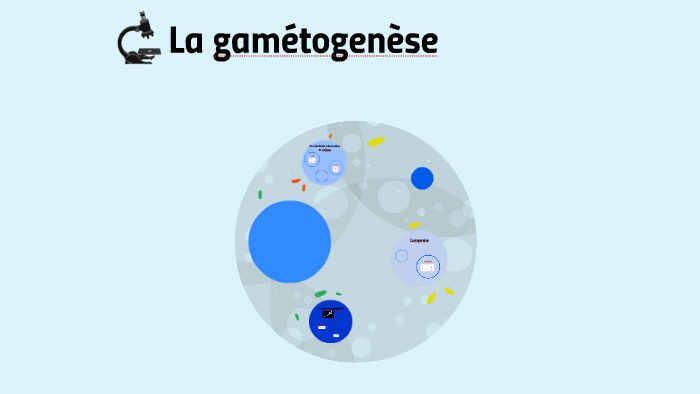 la gametogenese by emmanuel laclau on Prezi